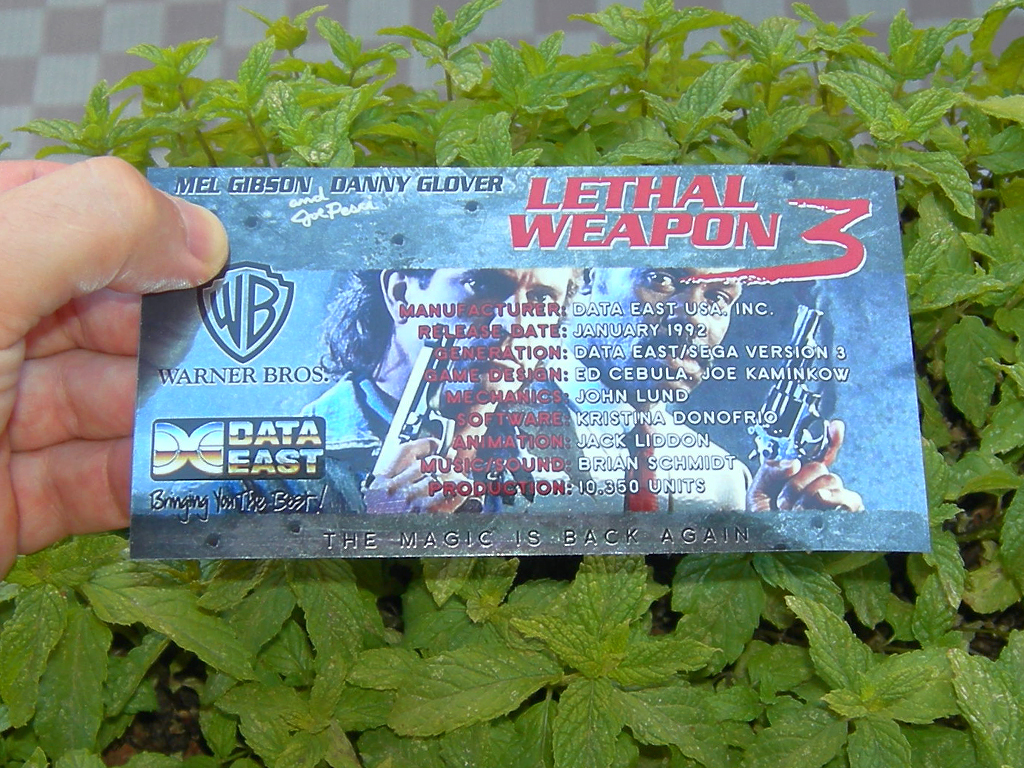"Lethal Weapon 3 Custom Pinball Cards" (DATA EAST). Designed by Zona ...